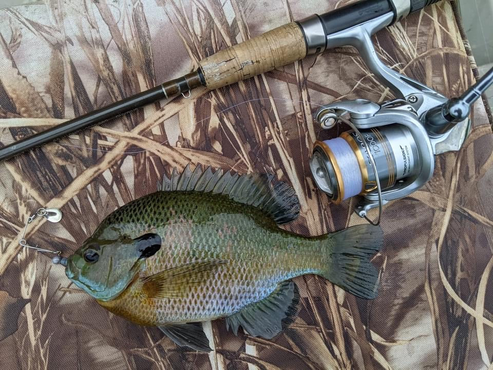 A Stellar Day on the River – Rambling Angler Outdoor Products