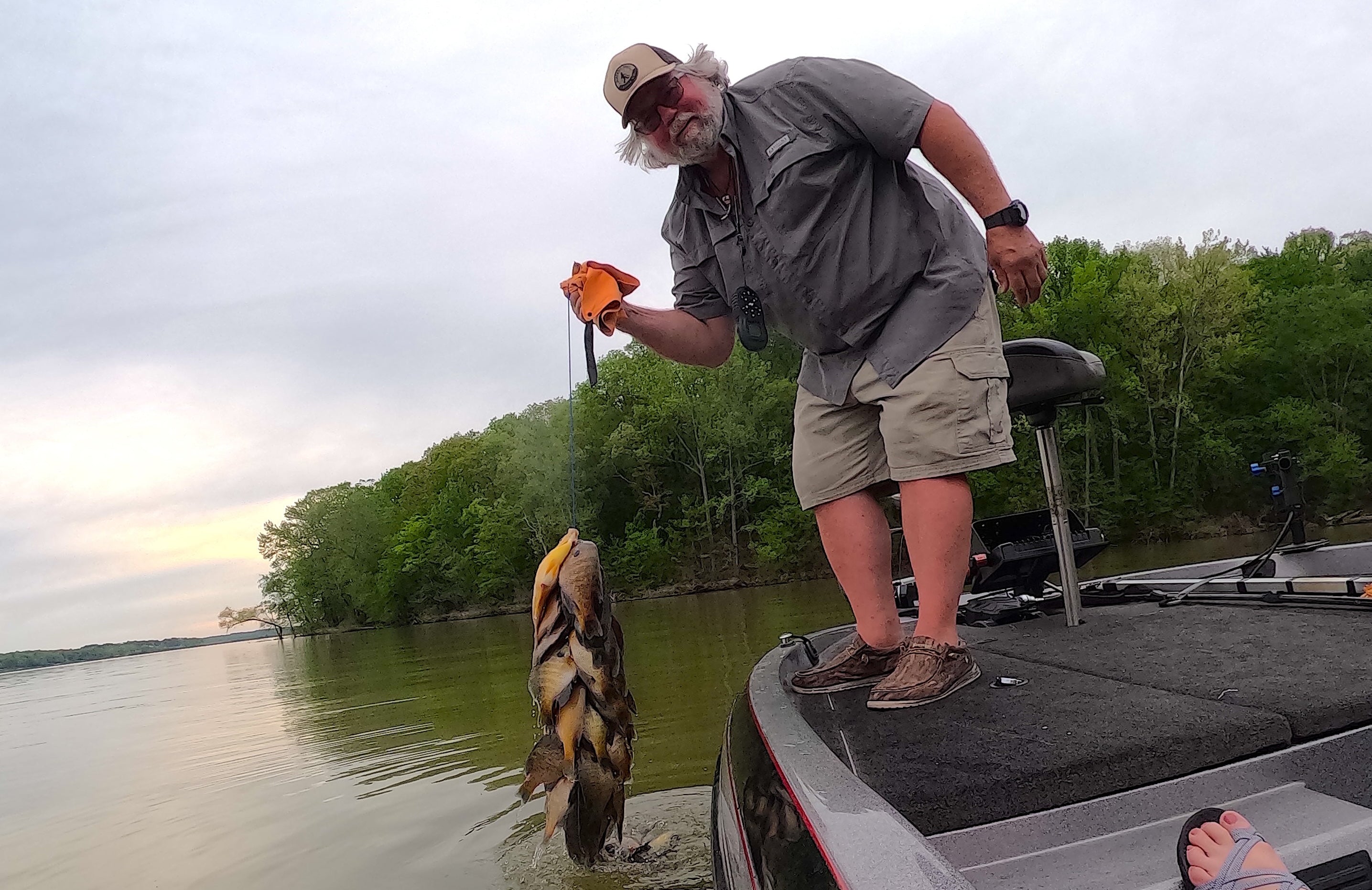 Using Forward Facing Sonar for Bluegills – Rambling Angler Outdoor Products
