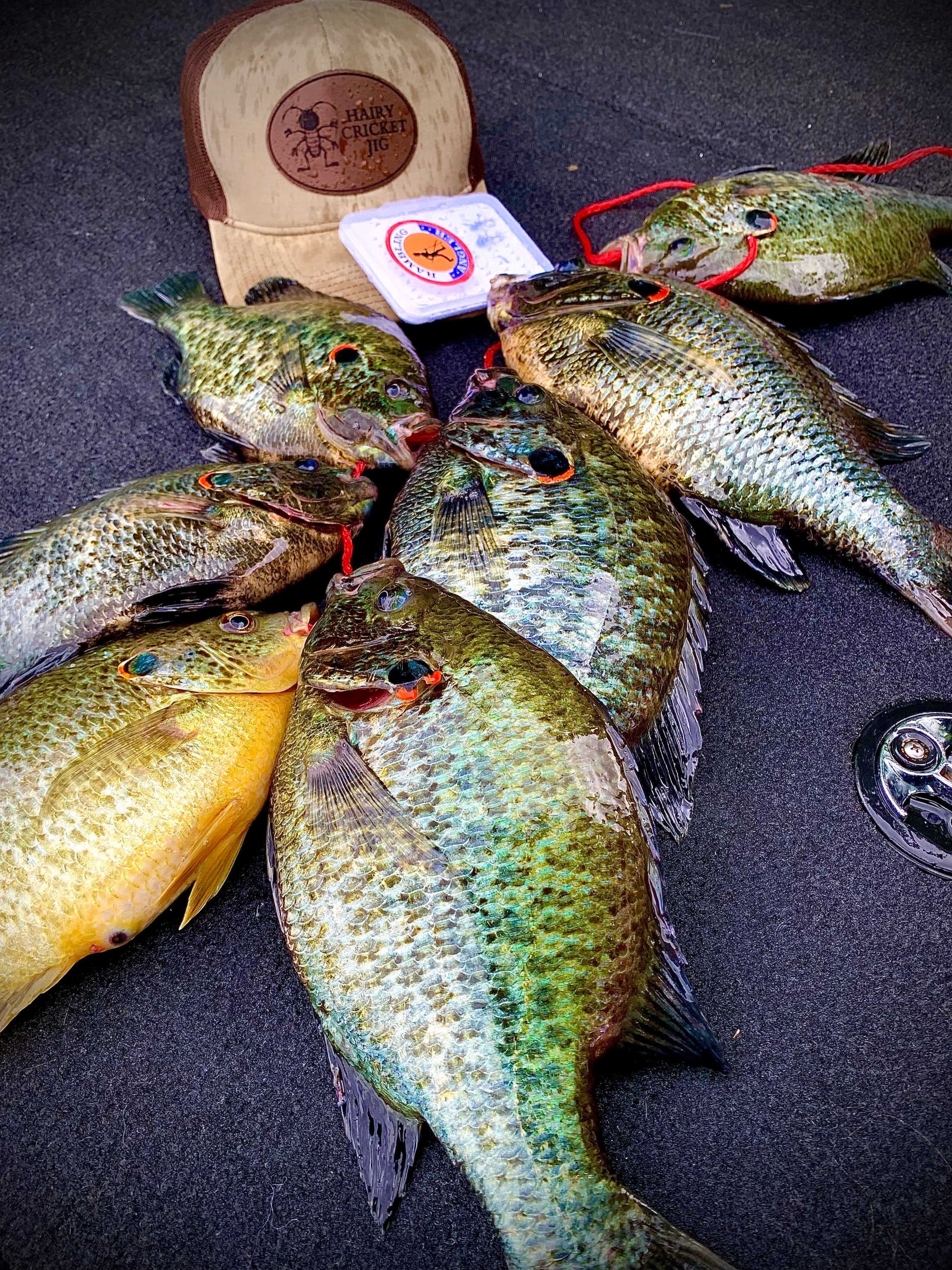Hairy Cricket Jig A jig to catch bluegills, shellcrackers and crappie ...