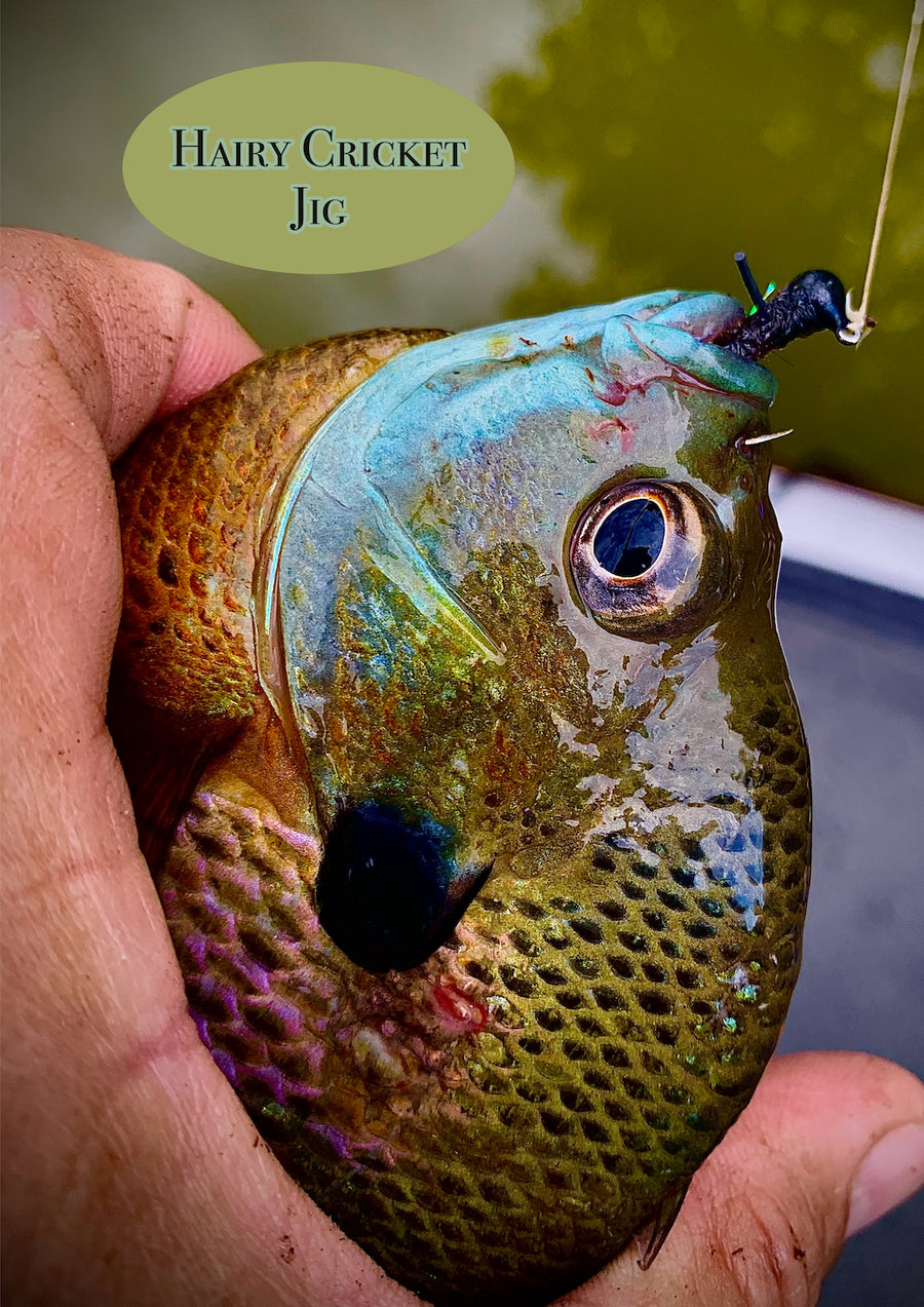 Hairy Cricket Jig A jig to catch bluegills, shellcrackers and crappie ...